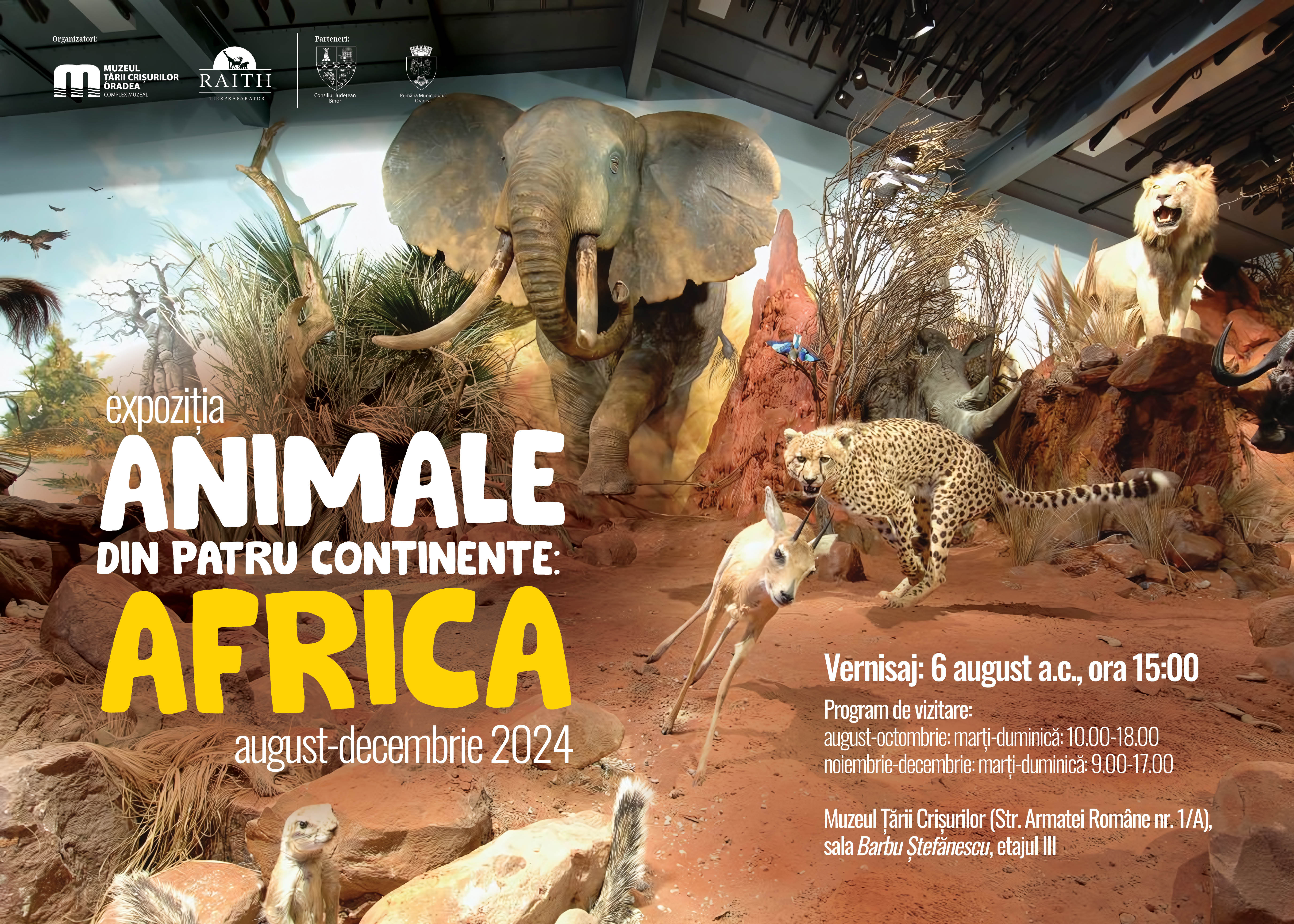 Expoziția unui taxidermist: Animale din patru continente – SCHOOL Bit
